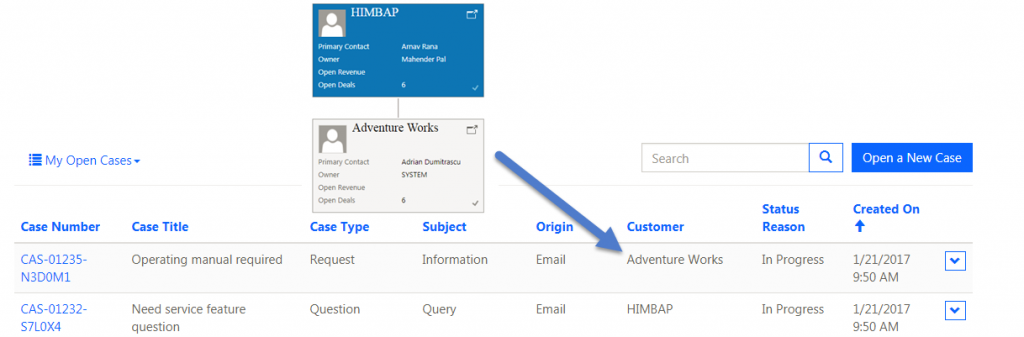 Accessing Cases of Sub Accounts- Dynamics 365 Portal – HIMBAP
